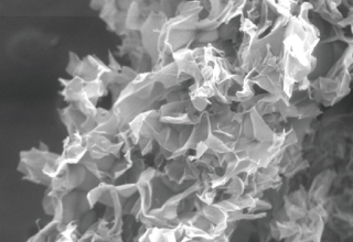 NexGel - Products - 넥스트바이오메디컬